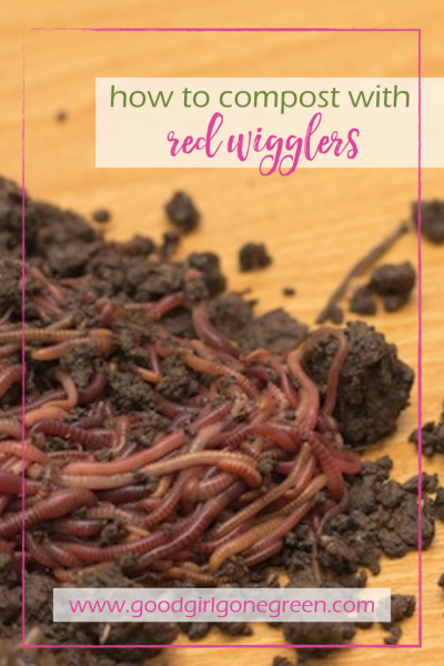 How to Compost with Red Wigglers Good Girl Gone Green
