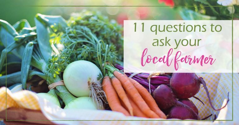 11 Questions to Ask Your Local Farmer - Stephanie Moram